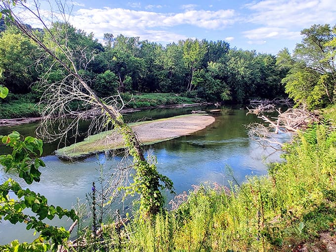 The river meanders like it's got nowhere important to be, teaching us all a valuable lesson about slowing down and enjoying the view.