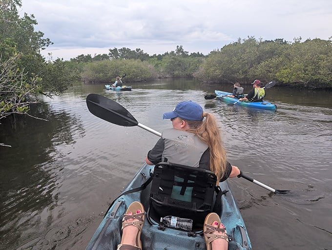 Nature's secret passages await as paddlers glide through mangrove tunnels, where every twist reveals new aquatic wonders.