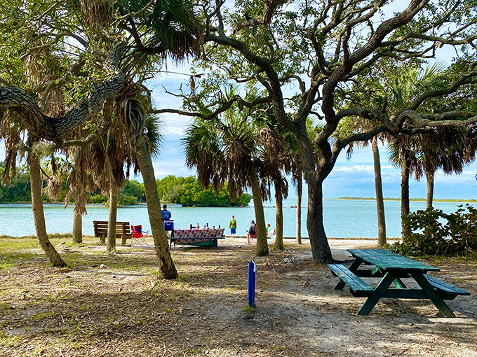 Picnic area: Dappled shade from ancient palms creates the perfect lunch spot, with million-dollar views that no restaurant could match.