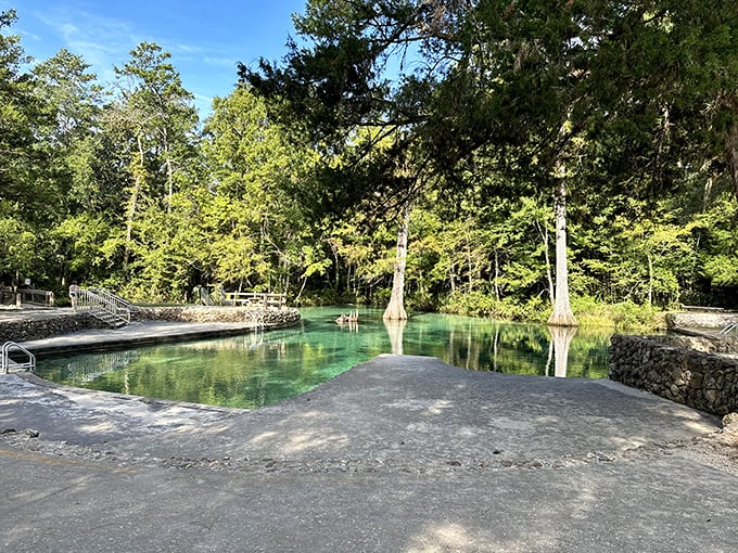 The emerald pool reflects towering pines like nature's mirror, inviting visitors to cool off in Florida's refreshing spring waters.