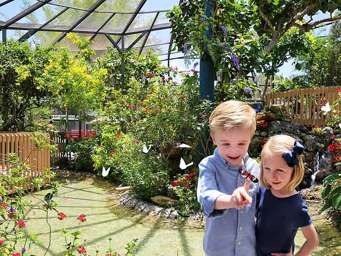 Those smiles say it all: this is what pure joy looks like when butterflies decide you're worth visiting.