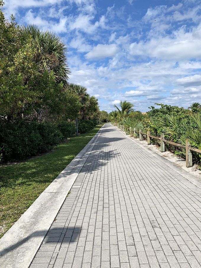 Brick-paved pathways wind through Peanut Island's lush landscape, offering a serene journey under Florida's brilliant blue skies and whispering palms.