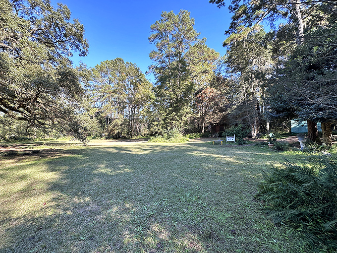 This open green space feels like nature's living room &ndash; just add friends, frisbees, and the occasional spontaneous nap.