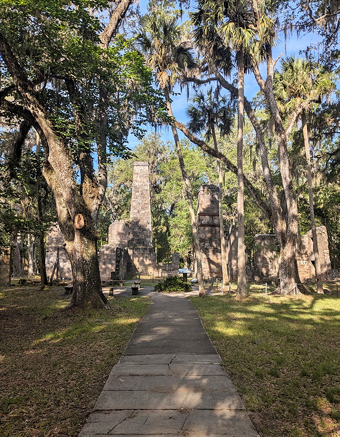 History comes alive along this path, where Spanish moss dangles like nature's own theatrical curtains.