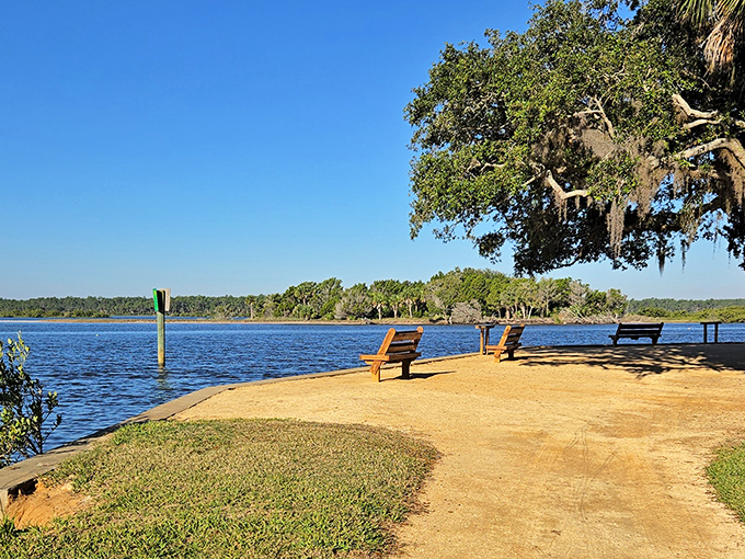 These benches offer front-row seats to nature's daily show along the peaceful Matanzas River.