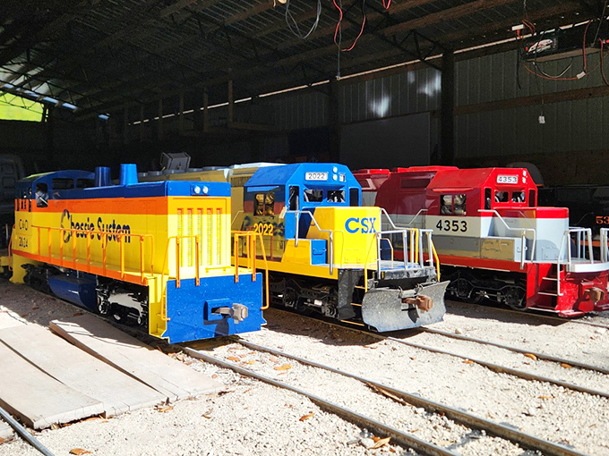 A colorful fleet of miniature locomotives awaits their next journey, each one meticulously detailed down to the authentic paint schemes and working headlights.