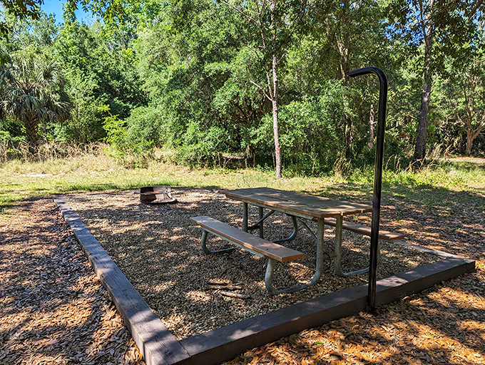 Nature's dining room awaits &ndash; this picnic spot practically begs for sandwiches and stories under Florida's generous sky.