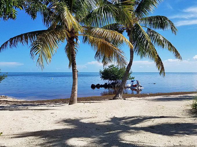 Sandy beaches with swaying palms create that postcard-perfect scene where even teenagers momentarily forget about their social media accounts.
