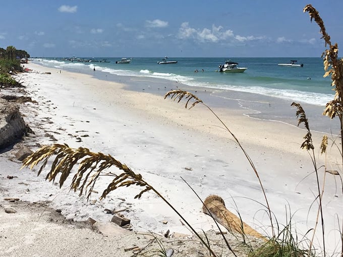 Pristine shorelines of Egmont Key offer a postcard-perfect escape where the Gulf of Mexico meets powdery white sand.