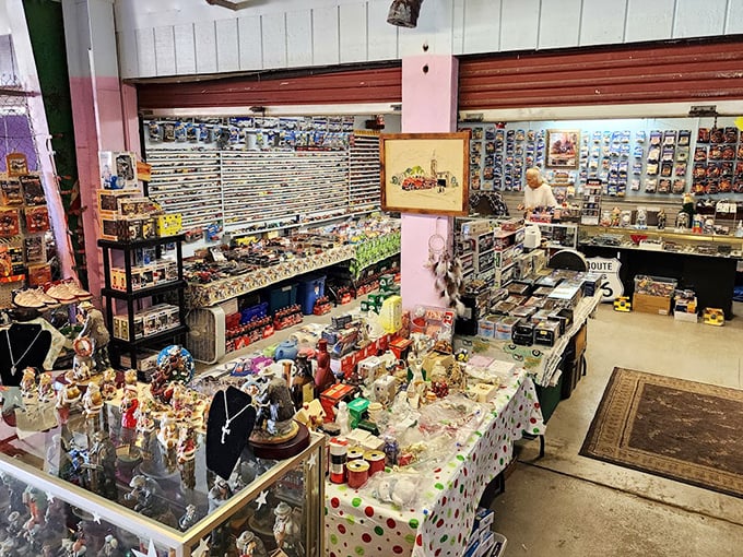 It's like someone took a museum, a toy store, and grandma's attic, then shook them into this delightful hodgepodge.