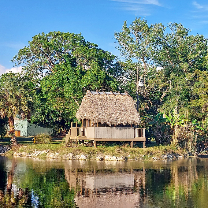 Lakeside living, Florida-style! This charming chickee hut offers front-row seats to nature's daily performance of light and shadow.