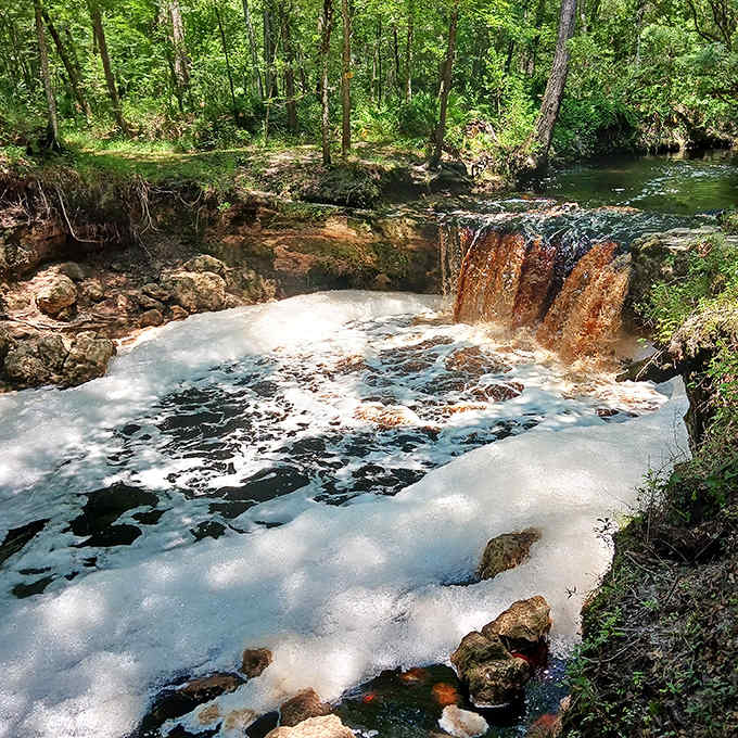 This waterfall didn't get the memo about Florida being flat. Tumbling through ferns and moss like nature's own spa feature.