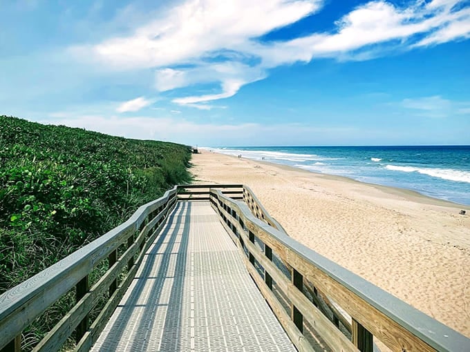 This beach stretches for miles without a single building in sight, looking exactly like Florida did before anyone decided to "improve" it.