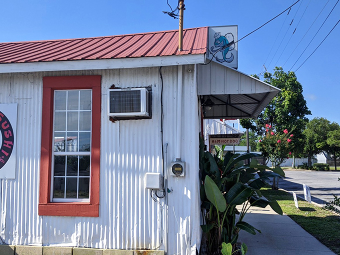 DeFuniak Springs' small-town charm comes with a side of quirky – just look at that corrugated metal hot dog stand with its octopus sign!