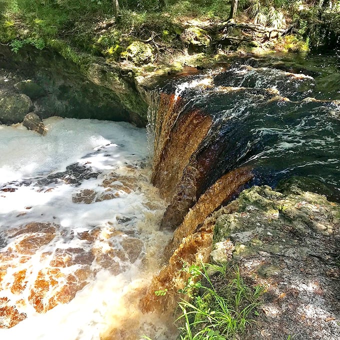 Falling Creek Falls' modest 10-foot drop creates a peaceful woodland oasis that feels worlds away from typical Florida landscapes.