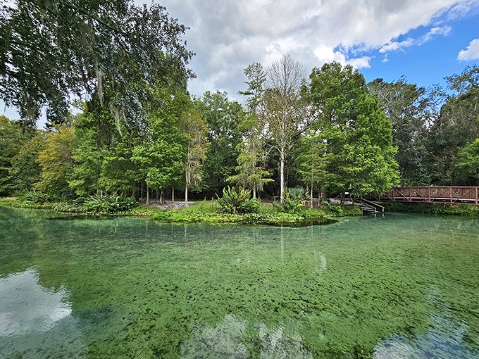 Kelly Park's Rock Springs Run offers a refreshing escape with waters so clear you'll question reality. Nature's water slide without the admission fee!