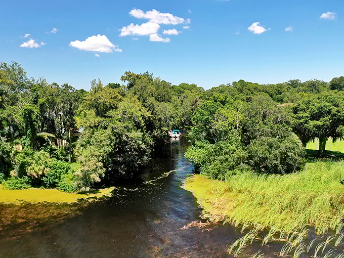 Lake Tarpon's crystal waters mirror the perfect blue Florida sky, creating a double dose of beauty that makes everyday stress melt away instantly.