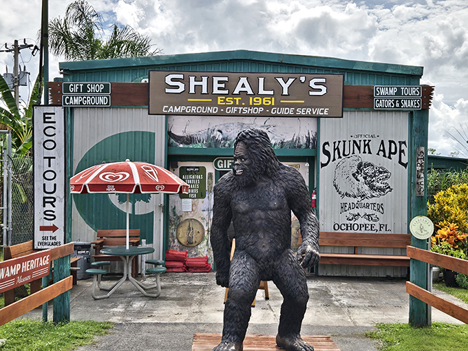 The Skunk Ape Research Headquarters welcomes cryptid hunters with a life-sized statue of Florida's elusive swamp creature.