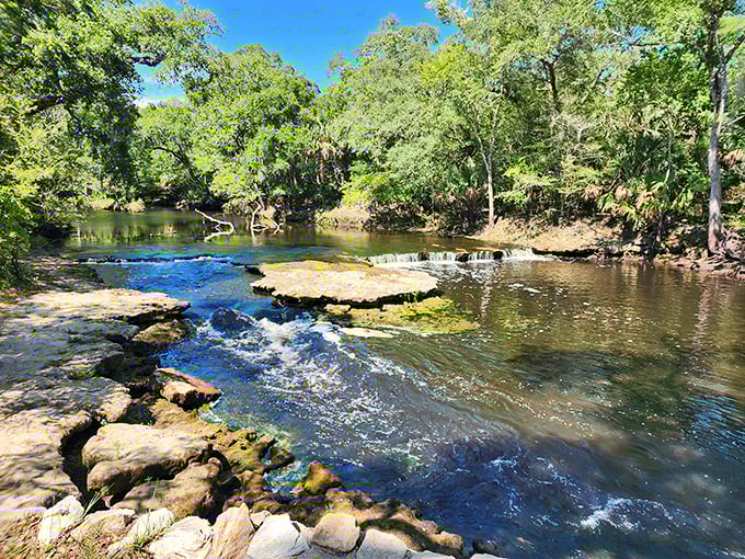 Steinhatchee Falls spreads wide across the river, creating a gentle cascade that ripples across limestone ledges in this peaceful woodland setting.