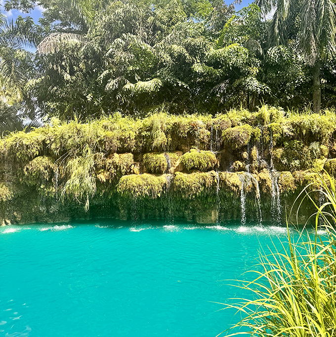 Moss-covered rocks and crystal clear blue water make Blue Lagoon Farm feel like a secret Caribbean getaway in South Florida.