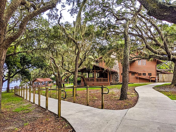 Ancient oak trees create natural sculptures with their twisted branches reaching out like welcoming arms to visitors.