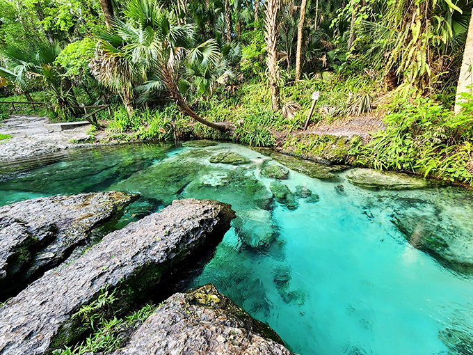 The peaceful shoreline at Kelly Park promises a perfect launching point for tubing adventures. Just add inflatable donut and instant summer memories!