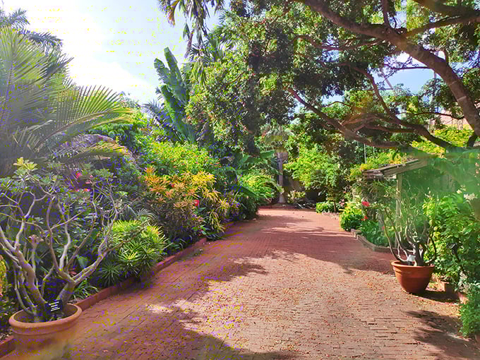 Vibrant orchids and lush greenery transform this abandoned fortress into a secret garden oasis at the edge of Key West.