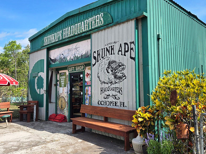 This quirky roadside attraction serves as the official headquarters for those tracking Florida's version of Bigfoot in the Everglades.