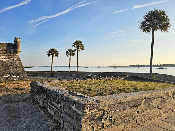 Palm trees and ancient fortifications create the most Florida combination possible, like oranges meeting history in perfect harmony.