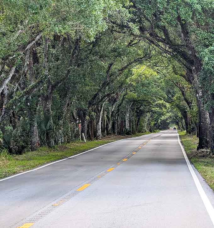 Straight, smooth, and surrounded by nature's finest work: this is what driving was meant to be before traffic existed.
