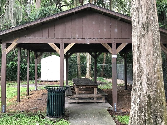 This rustic picnic shelter offers a perfect spot for alfresco dining, where sandwiches taste better and conversations flow easier under a canopy of trees.