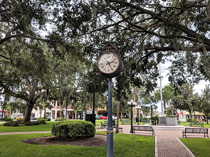 The iconic Sebring clock stands guard over Circle Park like a timekeeper who actually cares whether you're late, surrounded by oaks that have seen decades of small-town life unfold.