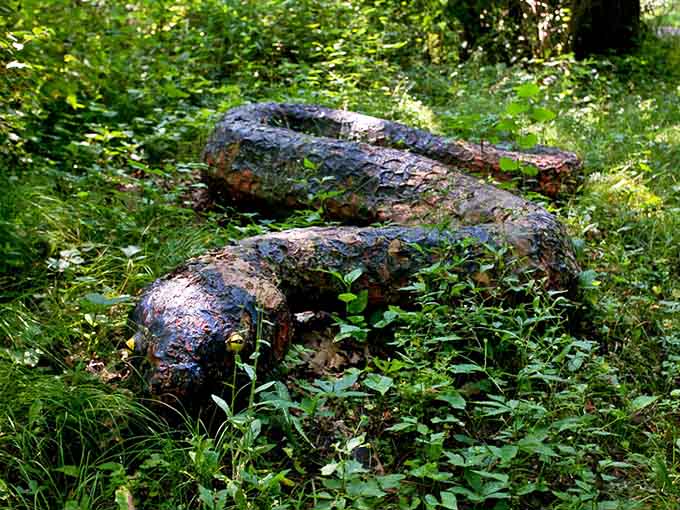 This concrete snake statue seems to be playing a game of hide-and-seek with visitors among the underbrush.