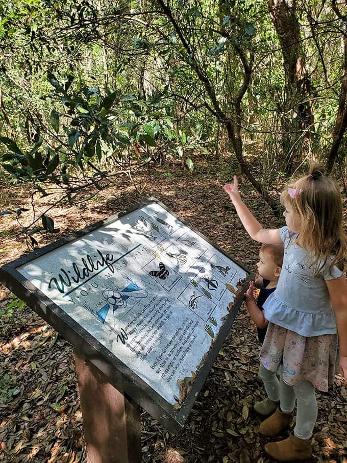Young explorers discover that the best education happens outside, where every turn reveals another lesson in nature's classroom.