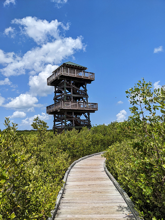 A wooden pathway leads adventurers toward the observation tower rising above the coastal landscape.
