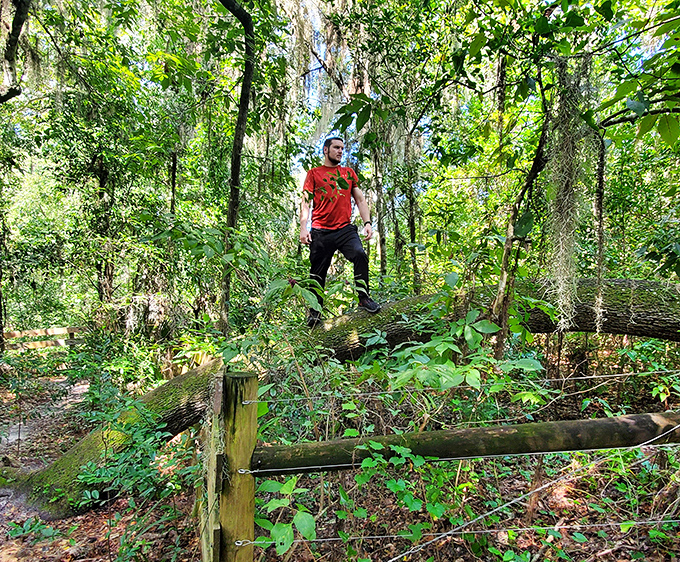 Even the wildlife seems to pause for dramatic effect at Hidden Waters, as if to say, "Yes, I know I look good against this backdrop."