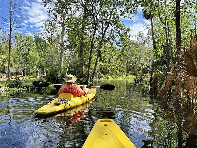 Weekend warriors navigate the gentle current, proving you don't need whitewater to create lasting memories on Florida's hidden waterways.