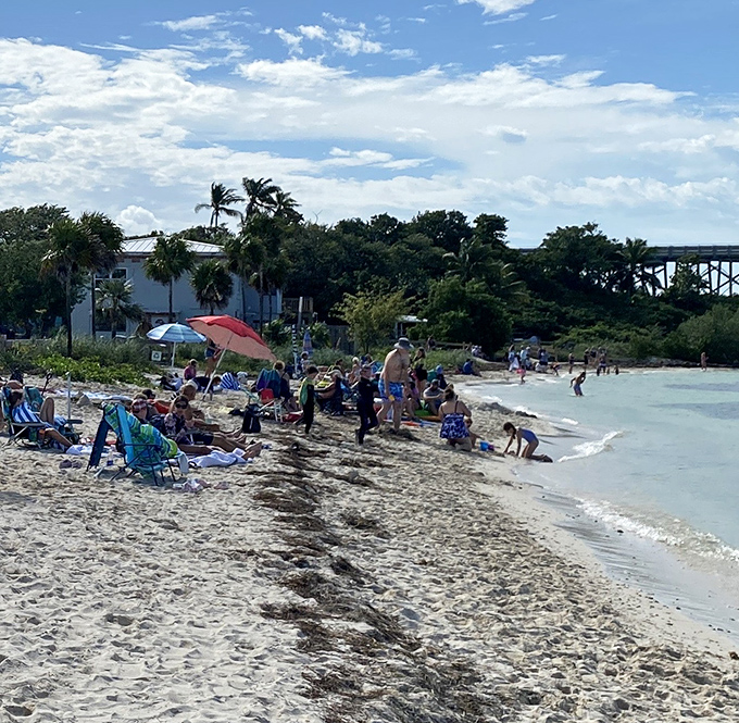 Happy campers enjoying that "I can't believe we have this view for the price of a campsite" moment that makes Bahia Honda legendary.