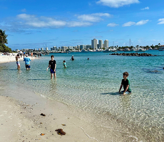 Crystal-clear shallows invite families to wade into the gentle waters, where the Palm Beach skyline creates a stunning backdrop for aquatic adventures.