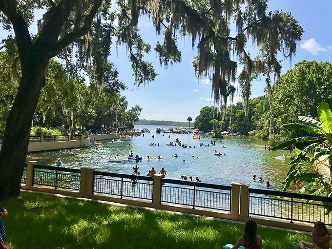 Silver Springs' crystal-clear waters invite visitors to cool off while keeping one eye out for the occasional manatee photobomb.