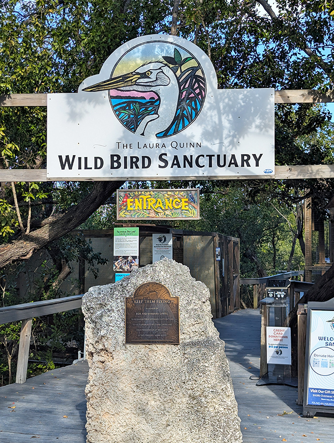 The Laura Quinn Wild Bird Sanctuary provides a peaceful haven for injured birds, where nature's winged wonders heal and thrive.