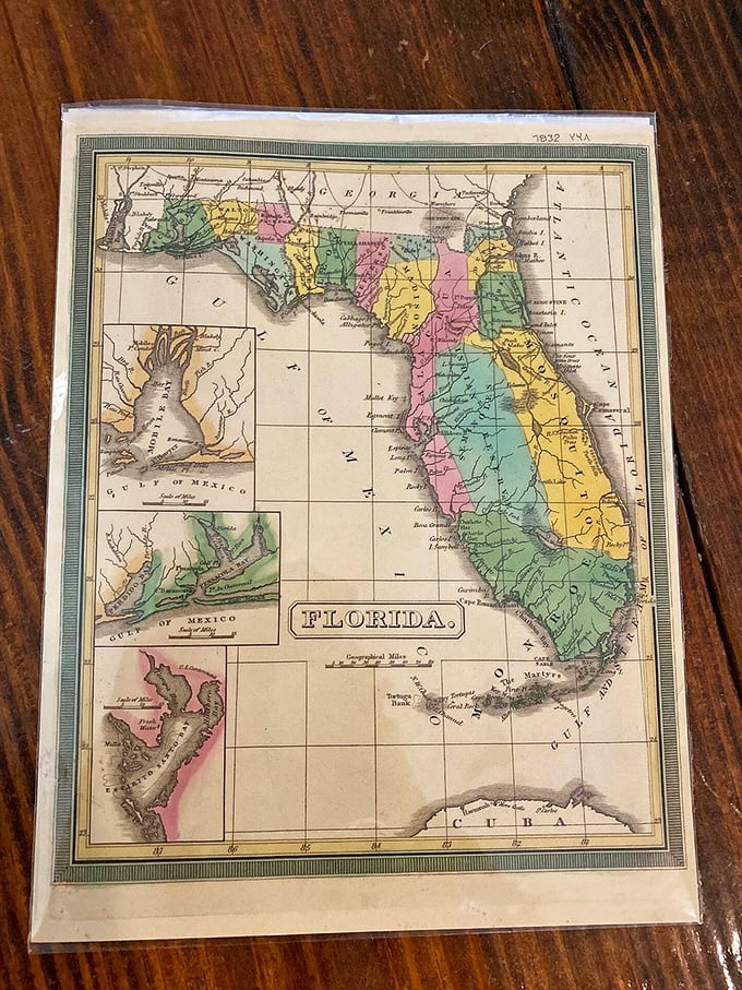 Florida's colorful history unfolds in this antique map, showing boundaries and settlements long since transformed by time and development.