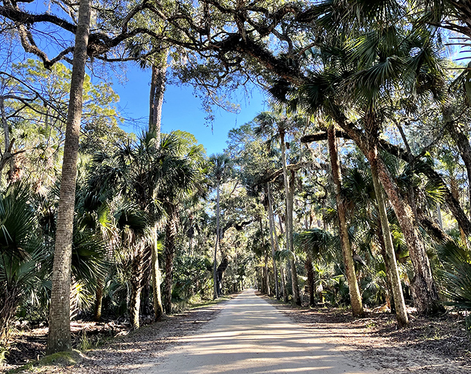 Follow the breadcrumbs of history on this path, where every step takes you deeper into Florida's forgotten past.