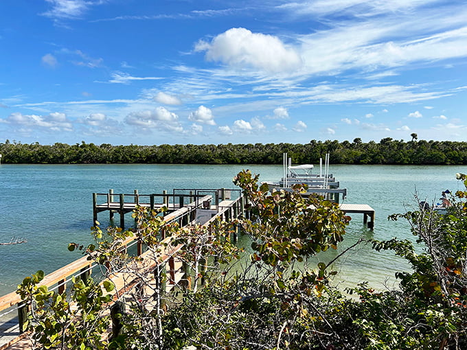 Gateway to adventure: The wooden dock invites explorers to venture deeper into Stump Pass's aquatic wonderland.
