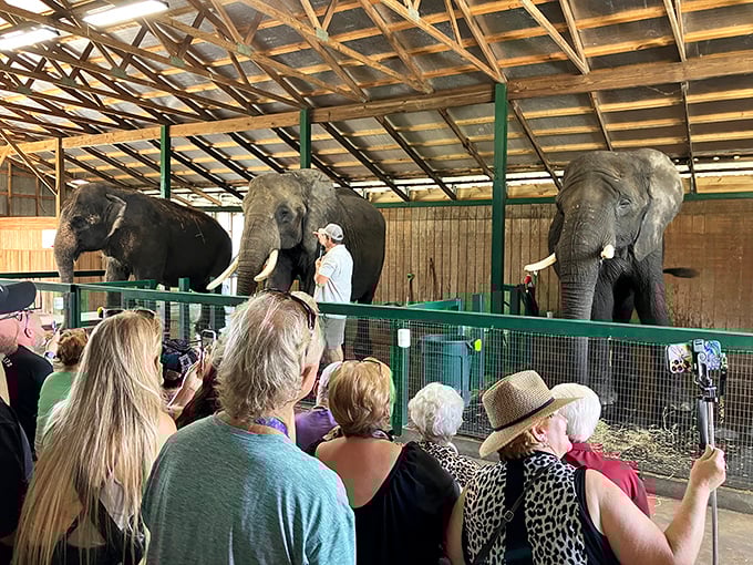 Education meets entertainment as visitors gather to learn about these incredible creatures from passionate, knowledgeable staff.