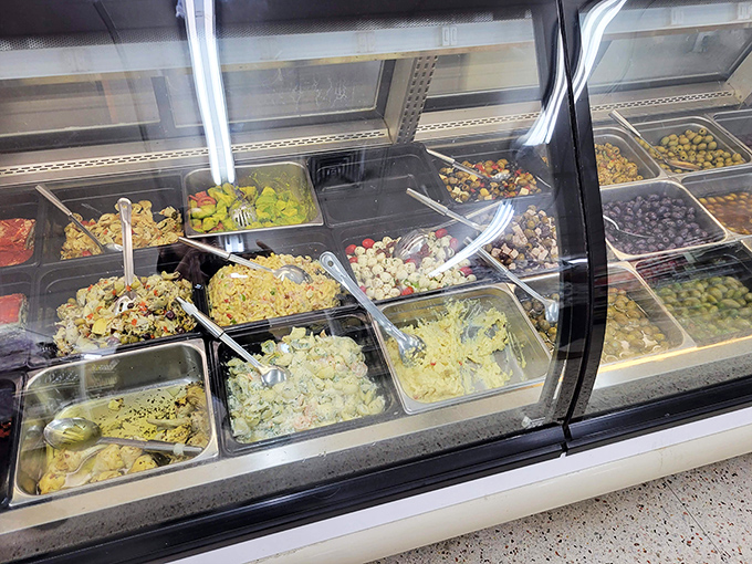 A rainbow of freshly prepared salads awaits &ndash; each container holding Mediterranean flavors that dance on your palate with every bite.