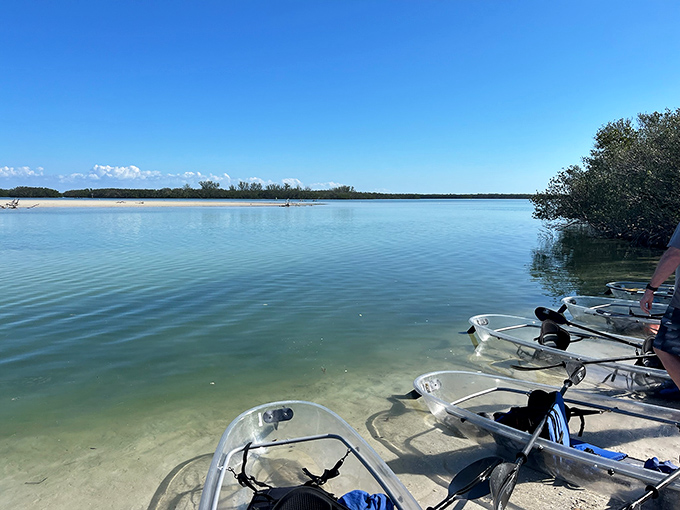 Postcard-perfect paradise: The pristine waters of Shell Key Preserve offer that rare "am I dreaming?" moment that vacation dreams are made of.