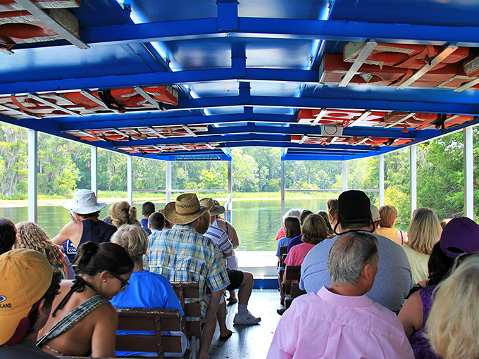 The glass-bottom boat tour offers visitors front-row seats to underwater wonders, where ancient springs reveal Florida's geological secrets beneath your feet.