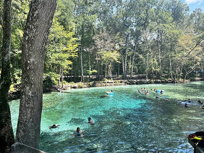 Summer bliss defined: Swimmers enjoying the refreshing 72-degree waters that stay crystal clear year-round.