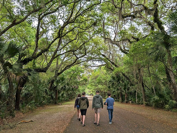 Visitors stroll beneath a living canopy where every branch tells centuries of Florida stories.